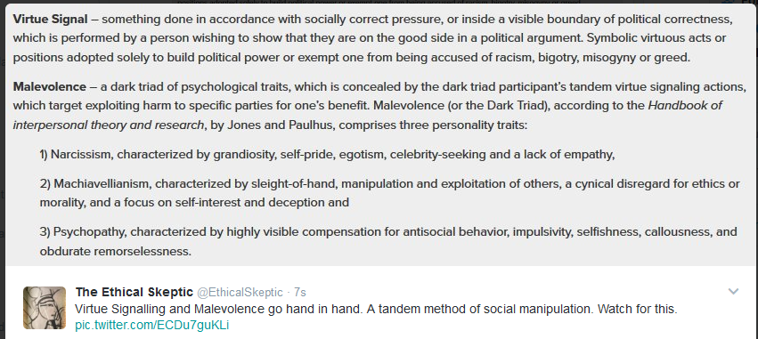 the-tandem-of-virtue-signalling-and-malevolence | The Ethical Skeptic
